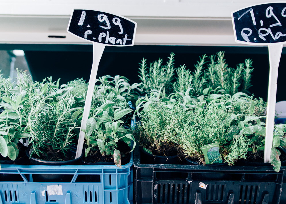 Wat koop je bij de Turkse supermarkt? - Uit Pauline's Keuken